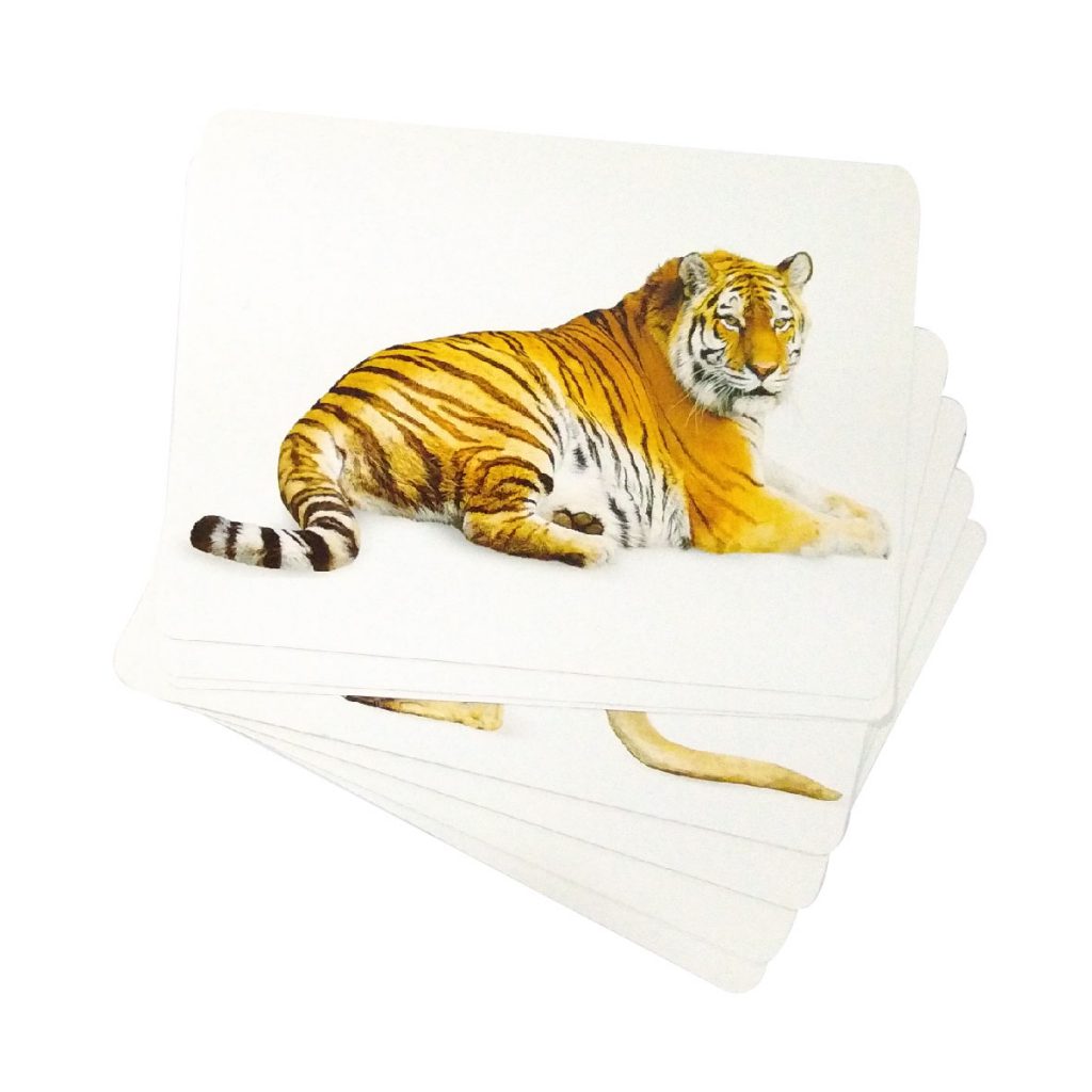 Tarjetas Educativas De Animales - Jugando Aprendemos