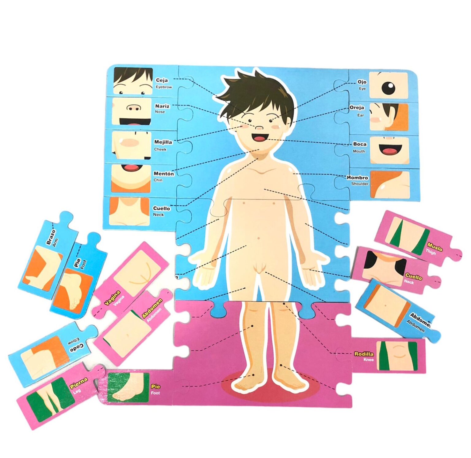 Conociendo mi Cuerpo - Jugando Aprendemos