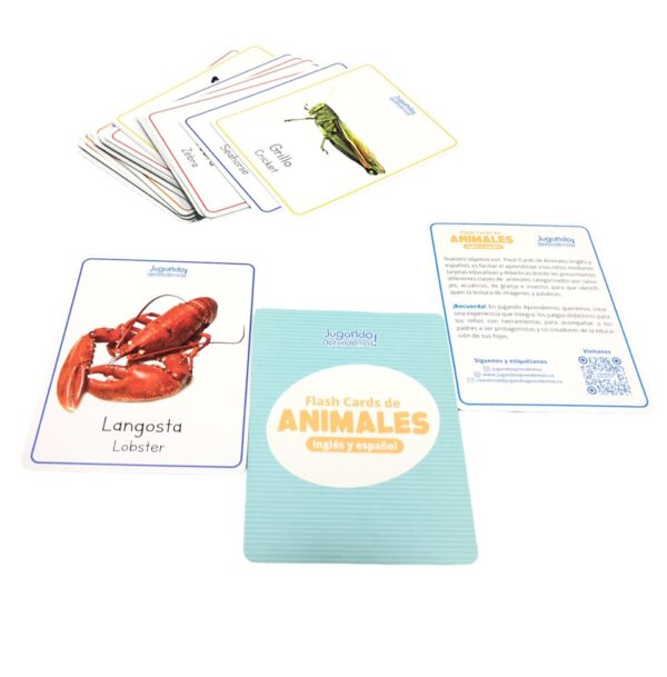 Flash Cards - Jugando Aprendemos